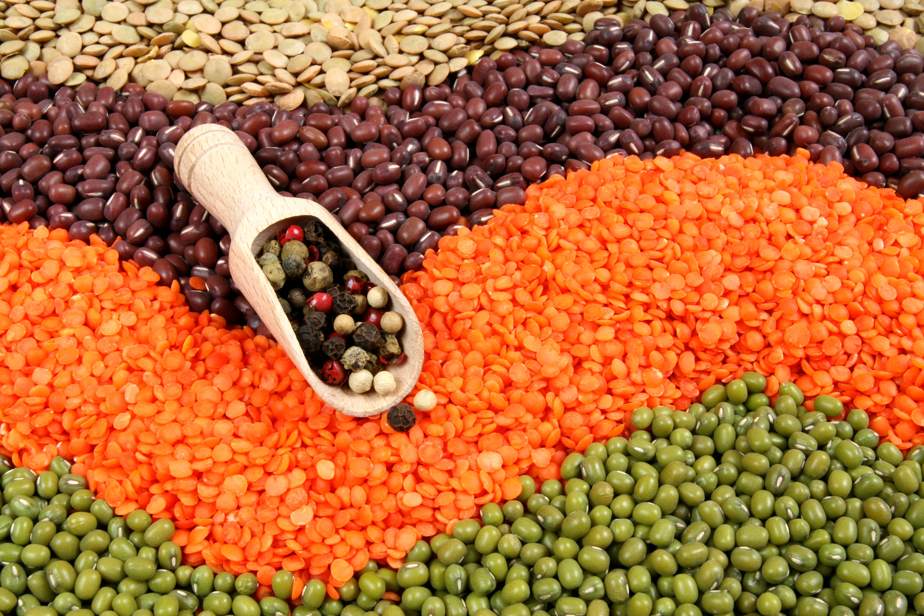 ZOE Health Academy — Nutrition and health information