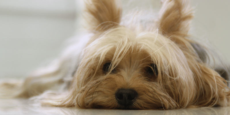 How to get out of a slump when you feel stuck