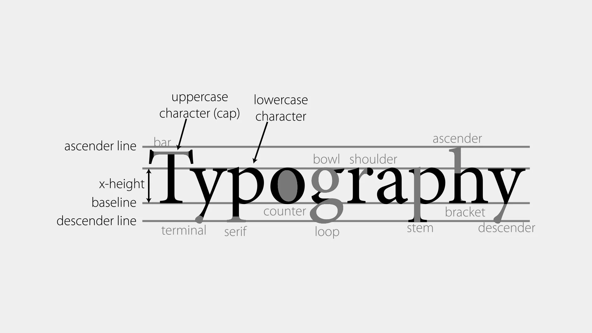 Website Typography A Primer Guide Ramotion Branding Agency website-typography-a-primer-guide-ramotion-branding-agency