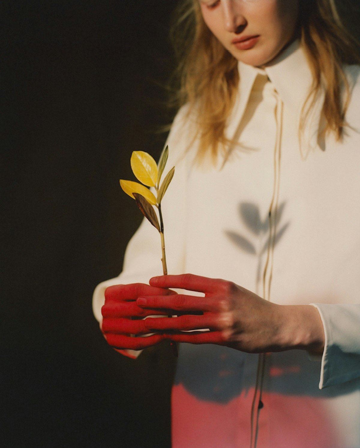 Lissome: La era de la moda consciente