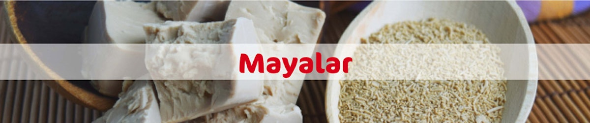 Mayalar | Pakmaya Profesyoneller Dünyası