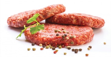 AN EXAMPLE OF ENERGY EFFICIENCY APPLIED TO THE MEAT INDUSTRY: THE CASE ...