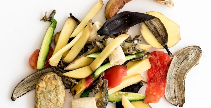 COGENERATION FROM BIOGAS FROM AGRI-FOOD WASTE: THE A CASE OF MÉTA BIO ...
