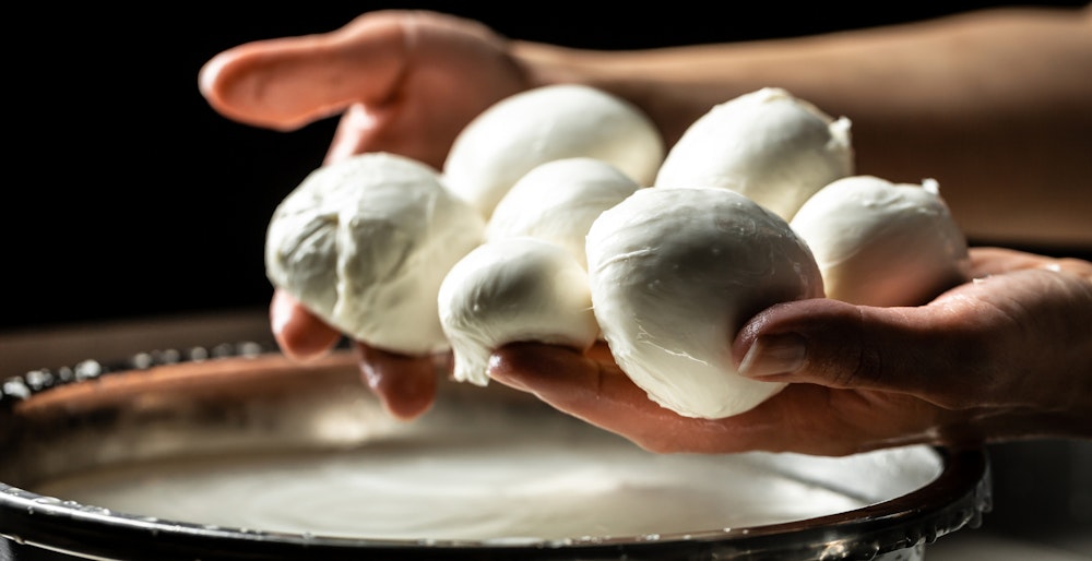 COGENERATION FOR THE DAIRY SECTOR: THE CASE OF GRANAROLO