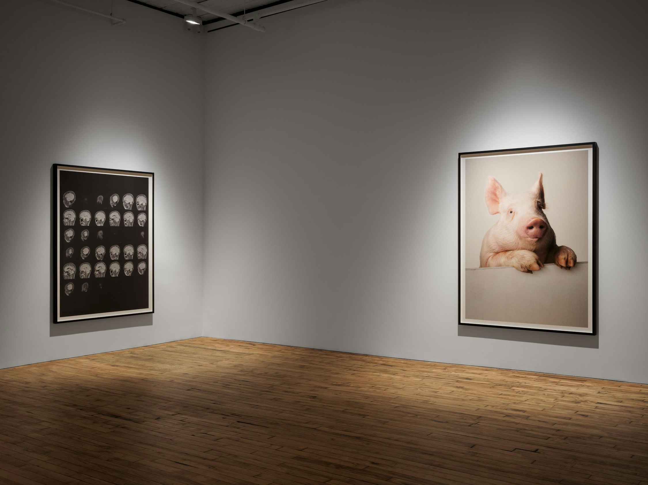 Heji Shin: THE BIG NUDES