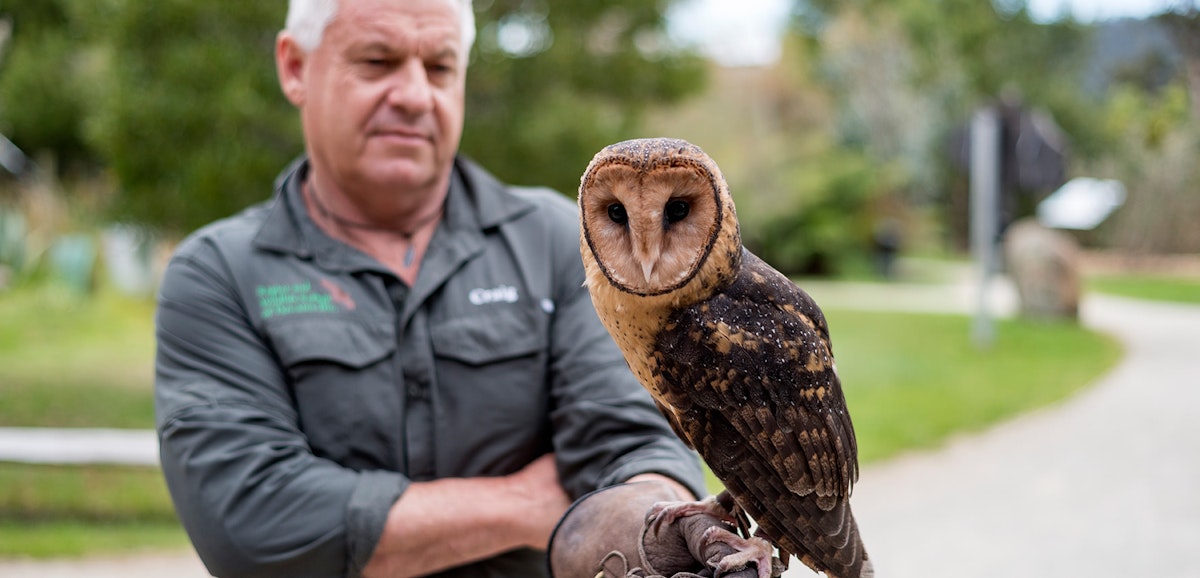 A mile in the shoes of a raptor rescuer – RACT
