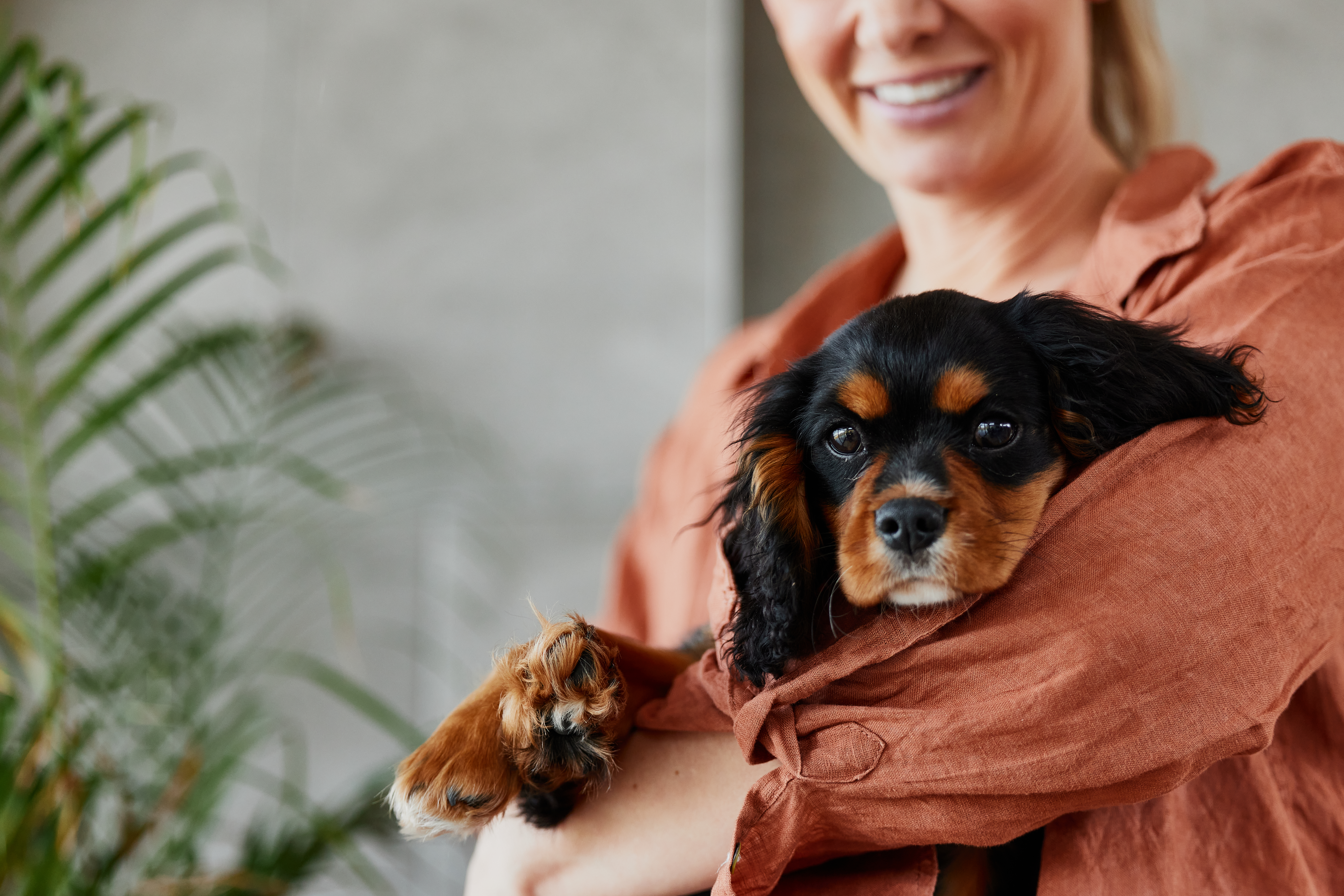 Pet Insurance Tasmania – RACT
