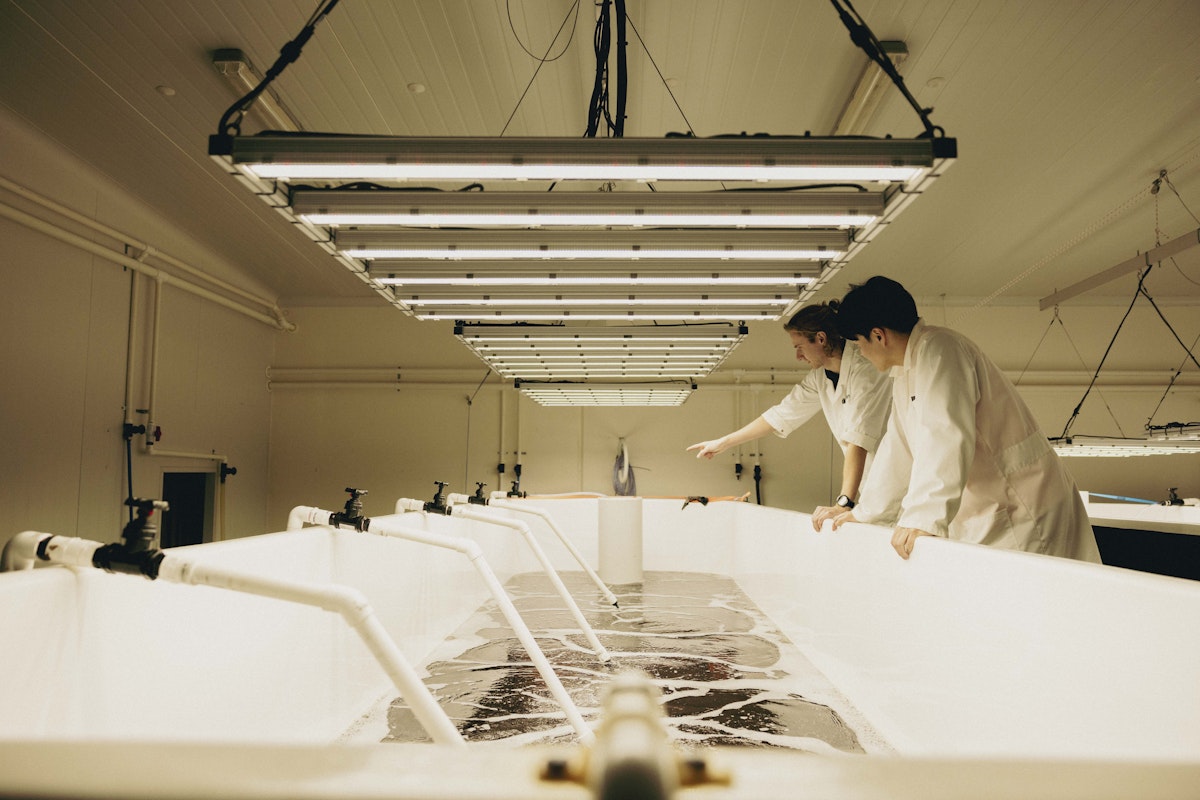 Meet the ocean scientist making waves – RACT