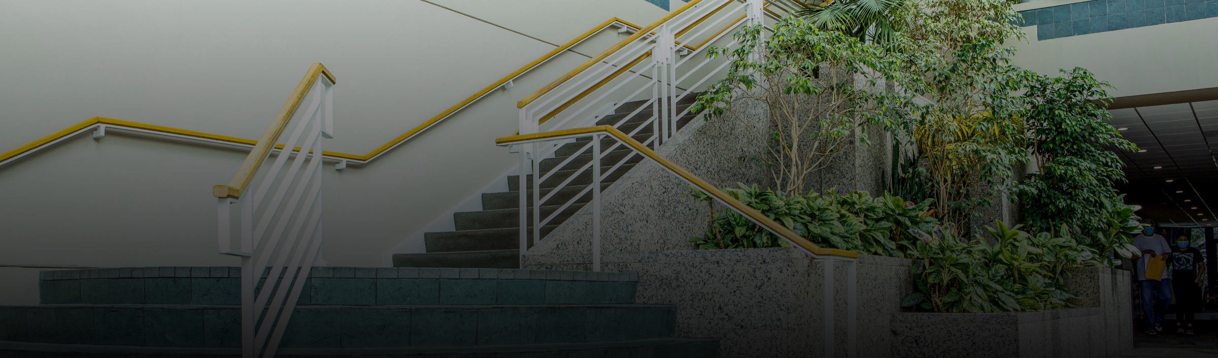 Best Hyperbaric Oxygen Therapy San Francisco | 8th Element