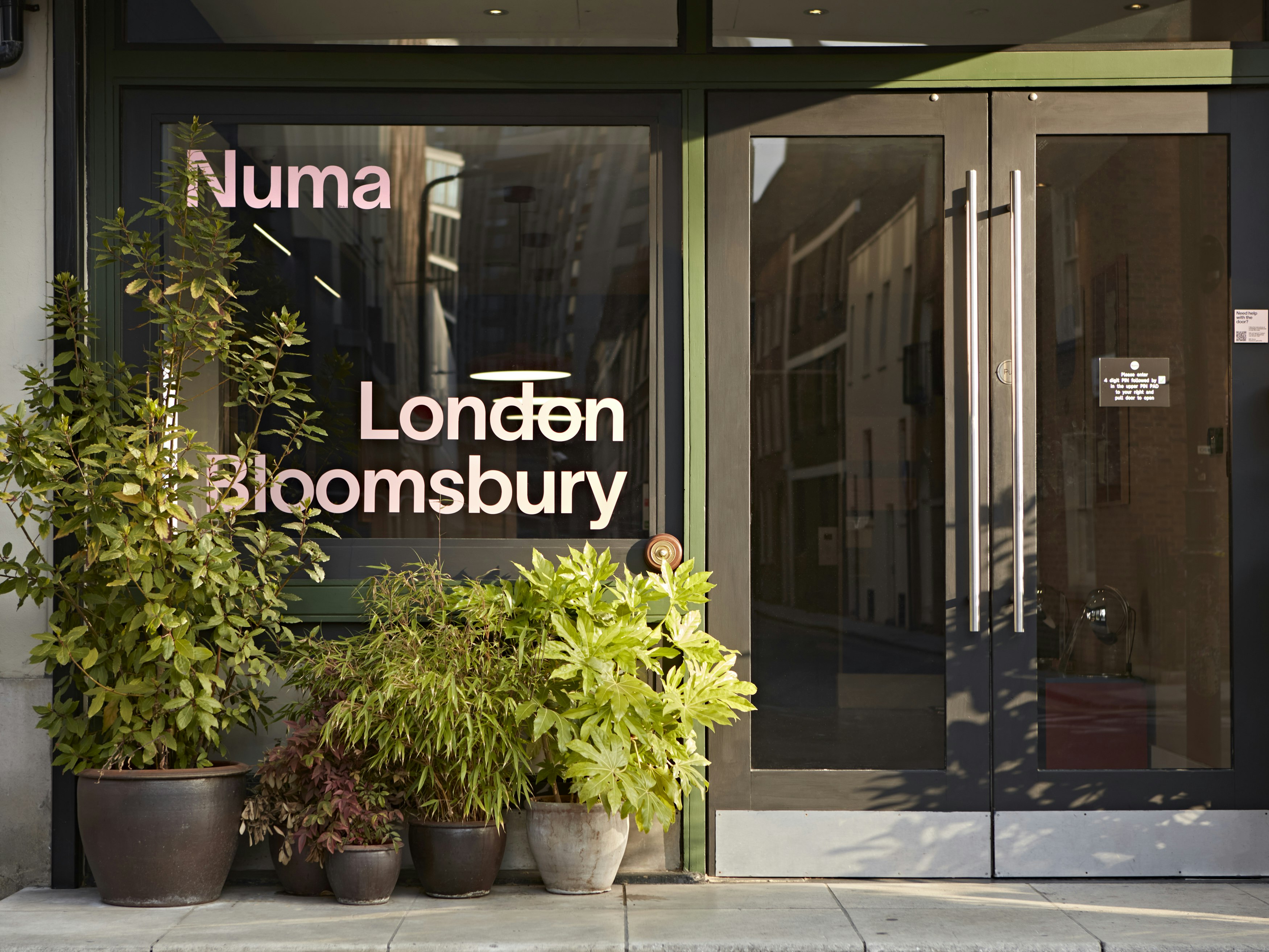 Numa London Bloomsbury – Official Site | Exclusive 15% Off