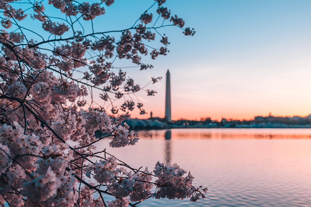 Community Solar Farms in Washington D.C. | Ampion