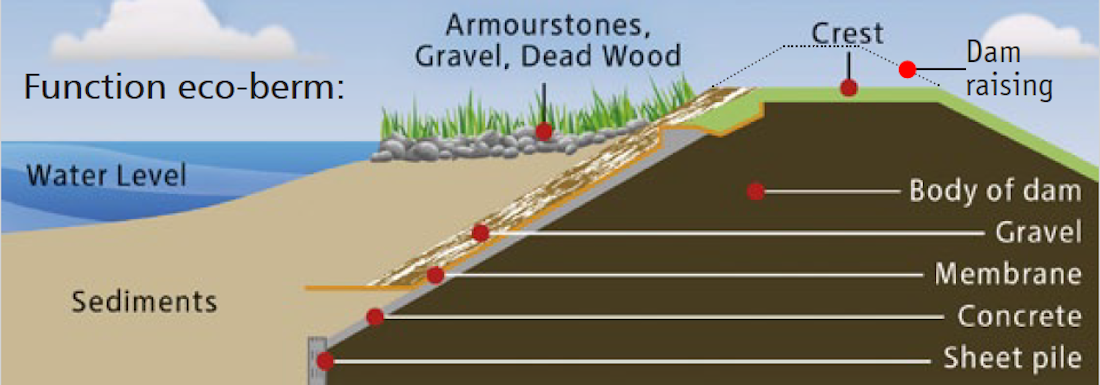 ´Eco-berms` replace concrete to boost riverbank biodiversity near ...
