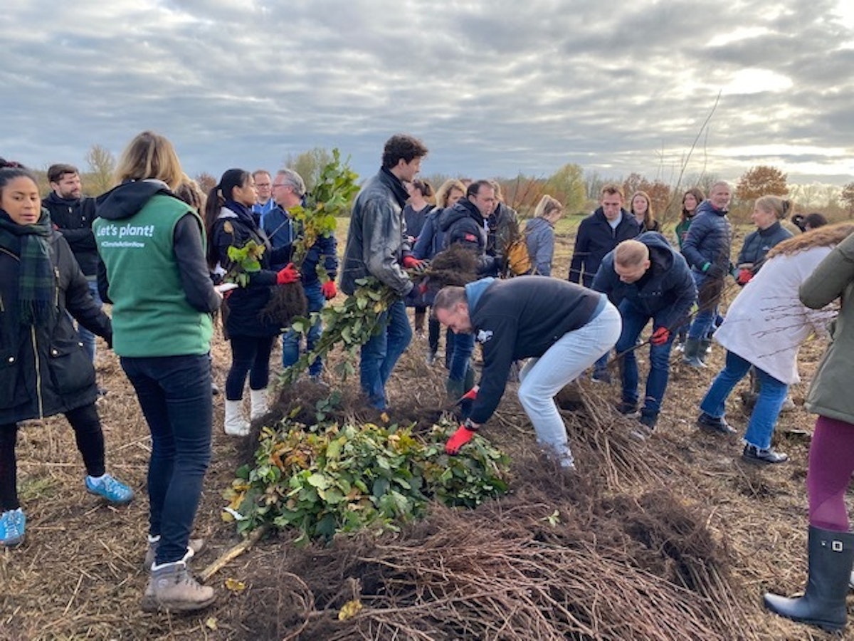 First EY and Life Terra planting • Life Terra