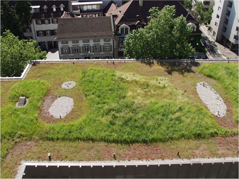 HOW ONE SWISS CITY MADE GREEN ROOFS • Life Terra