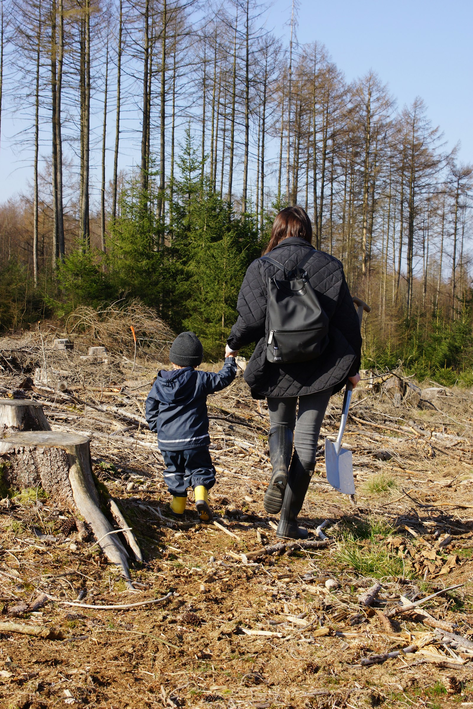 Quadpack • Life Terra