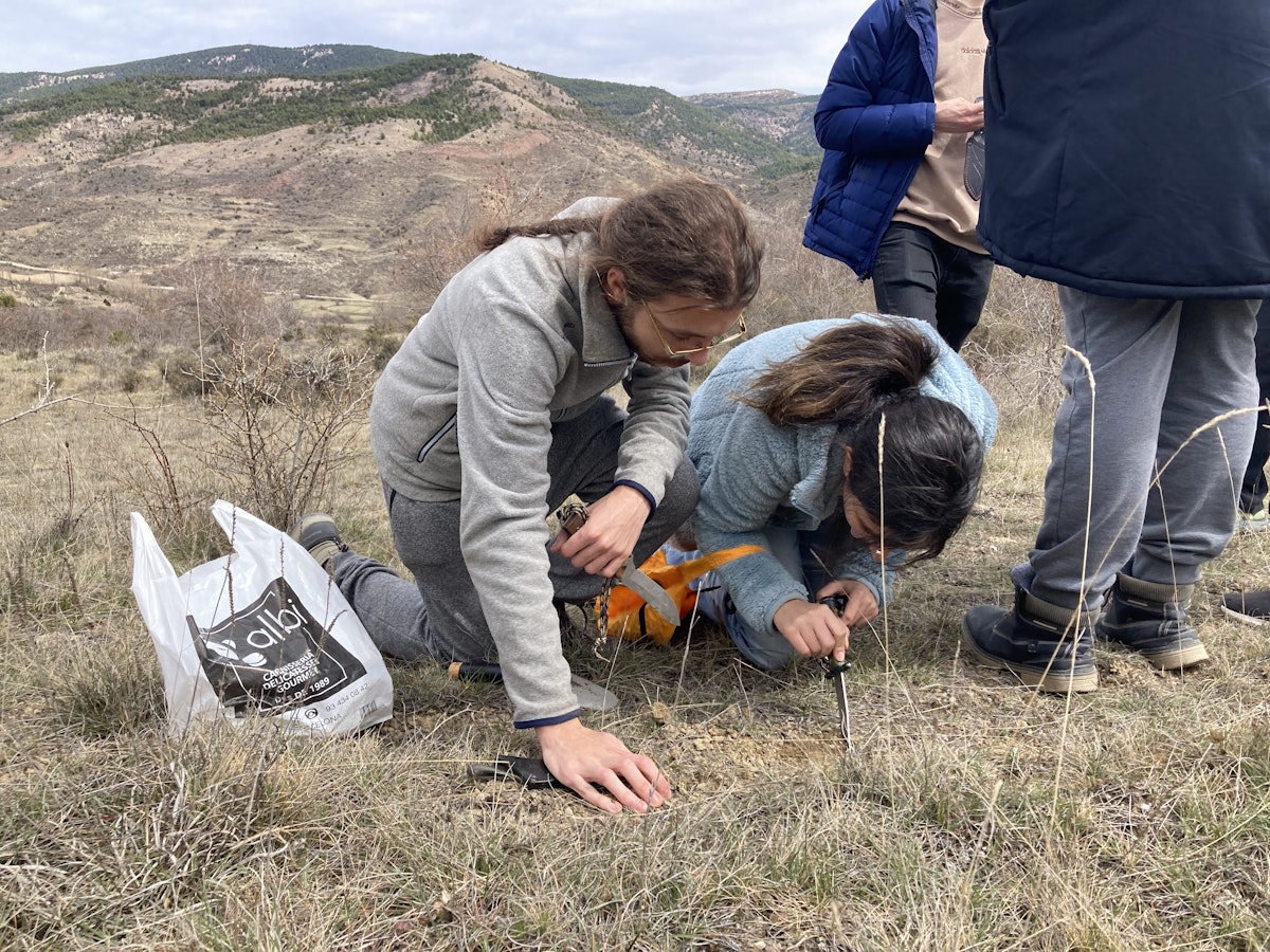 Developing a reforestation project in Teruel, Spain