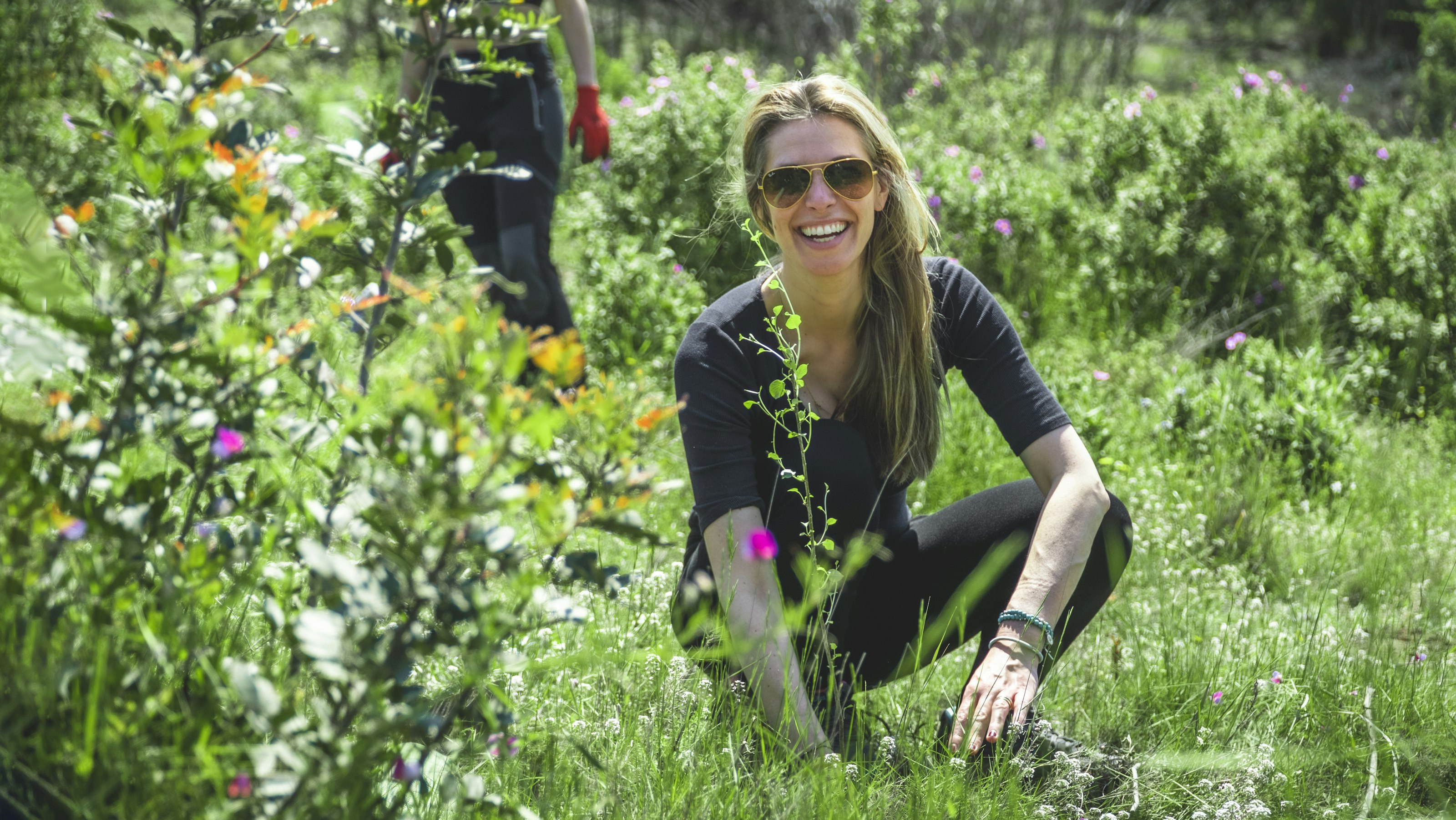 Let's plant together • Life Terra