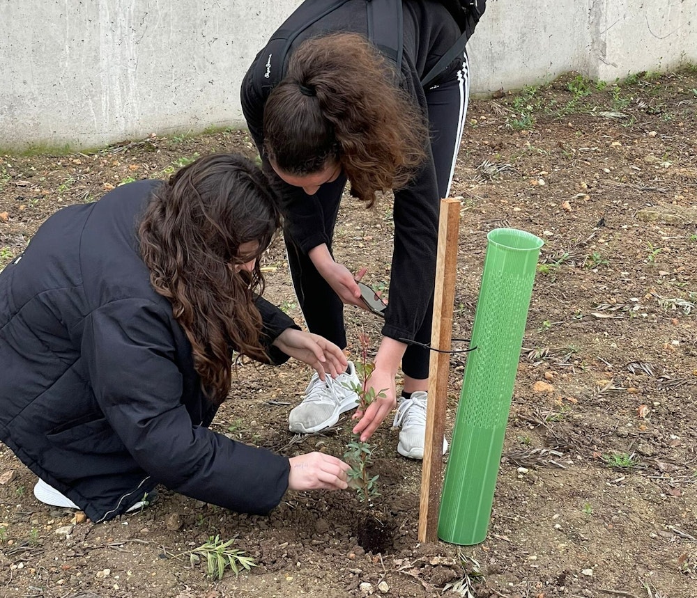 Local community involvement. Take part! • Life Terra