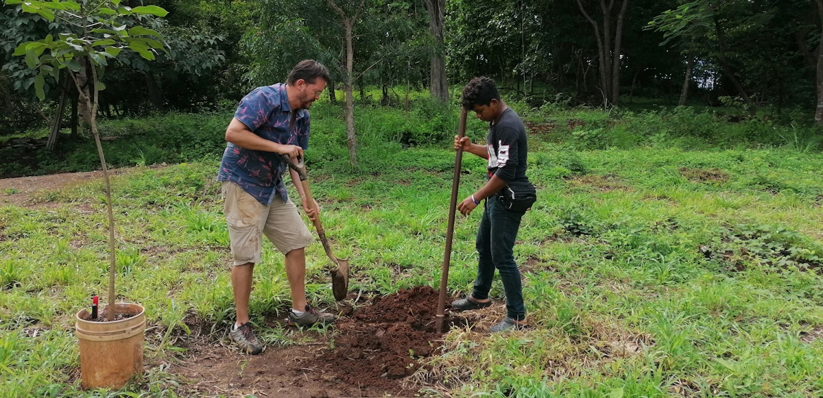 Life Terra trees in Costa Rica! • Life Terra