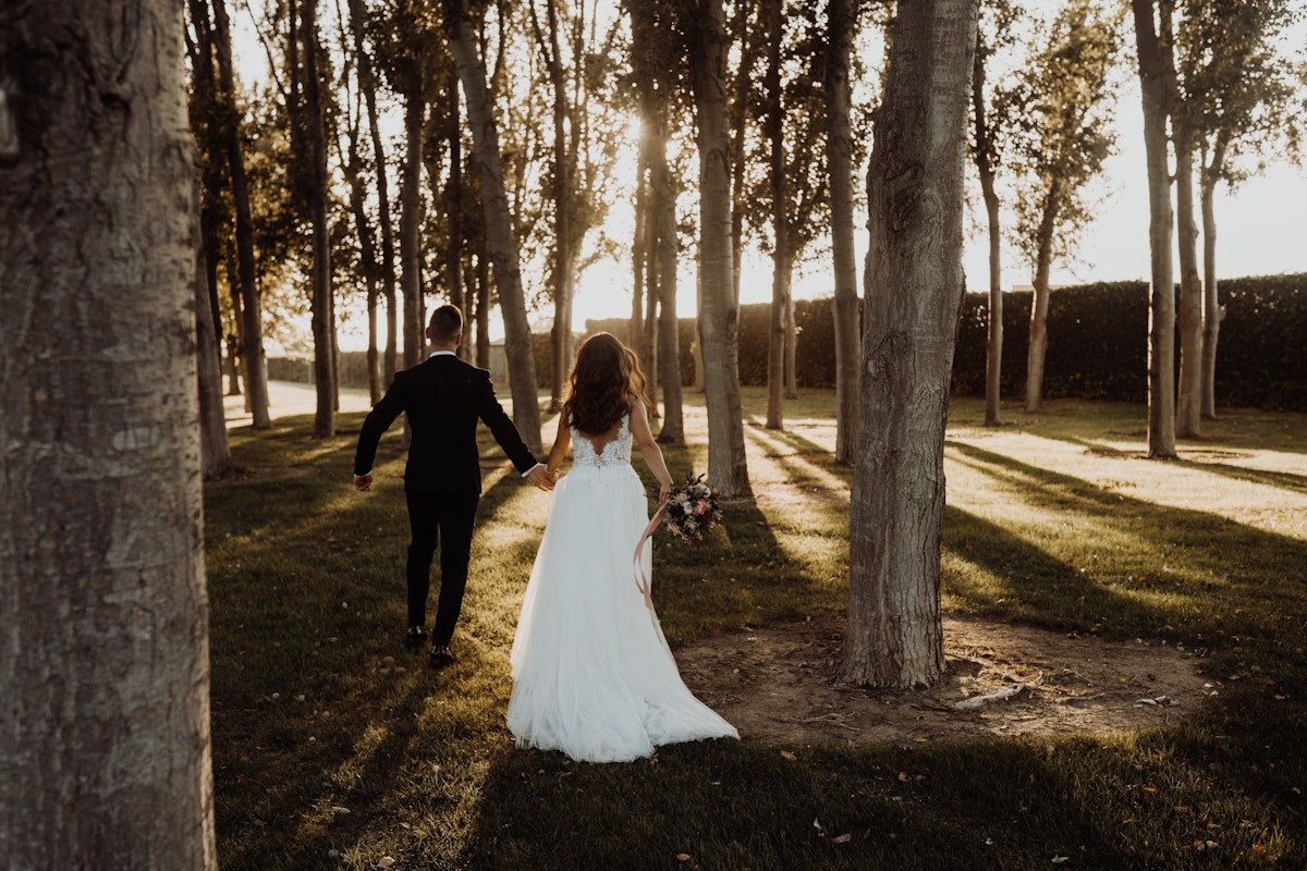 A small forest for their wedding gift • Life Terra