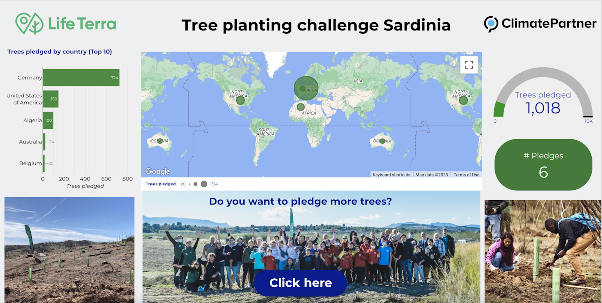 Tree Pledge • Life Terra
