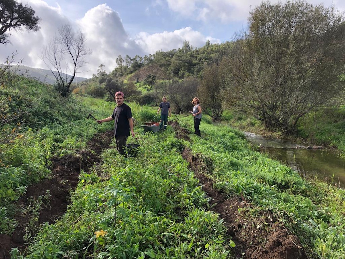 Small farm project in the Algarve region • Life Terra