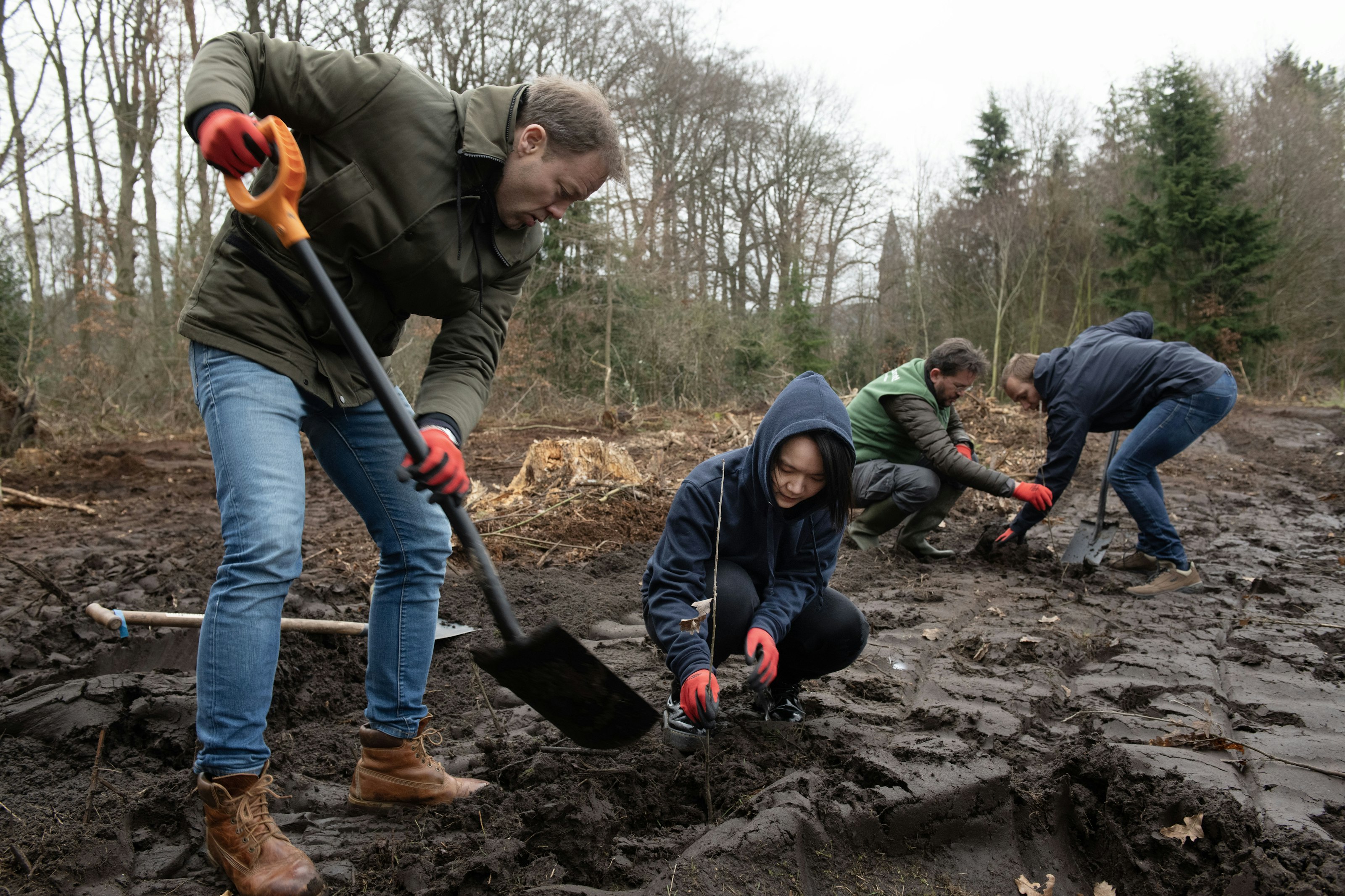 Caely Renewables • Life Terra