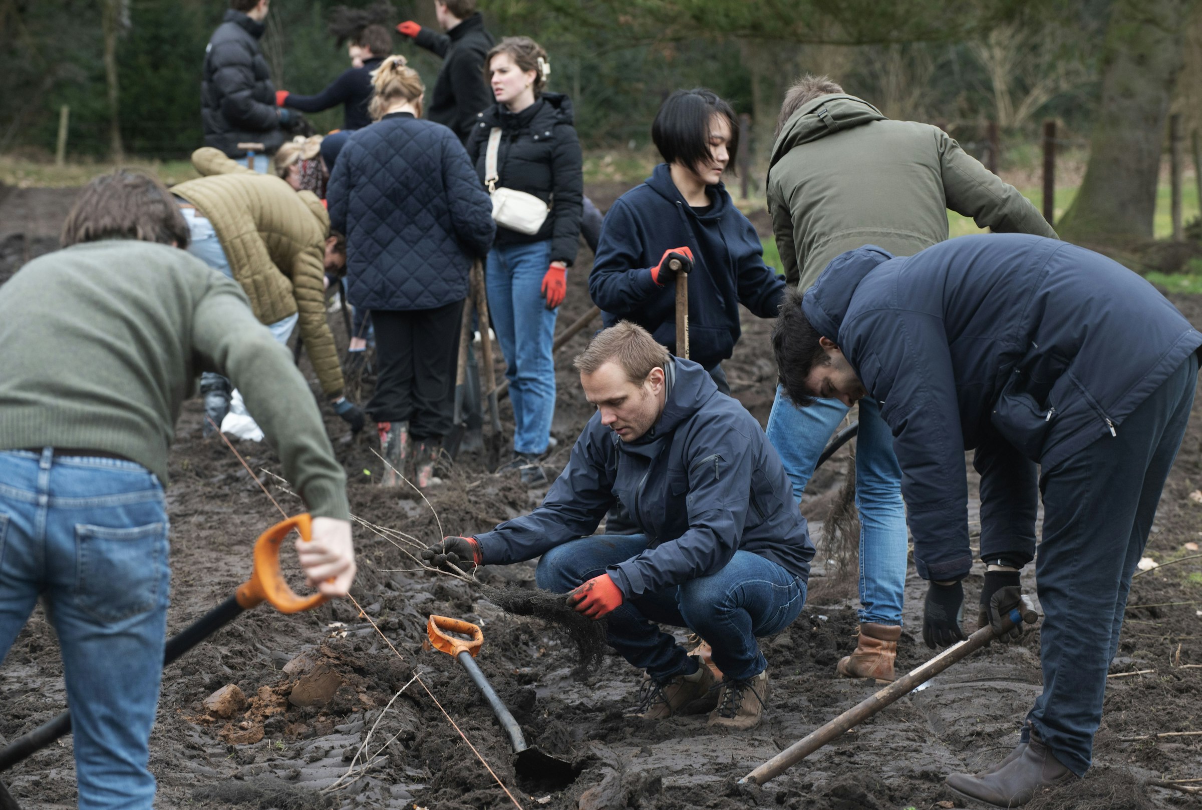 Caely Renewables • Life Terra