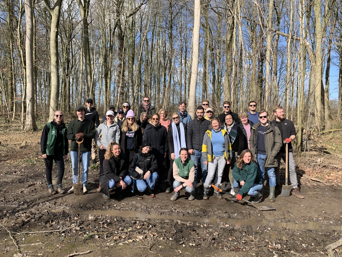 EY plants 700 trees to restore storm-damaged forest