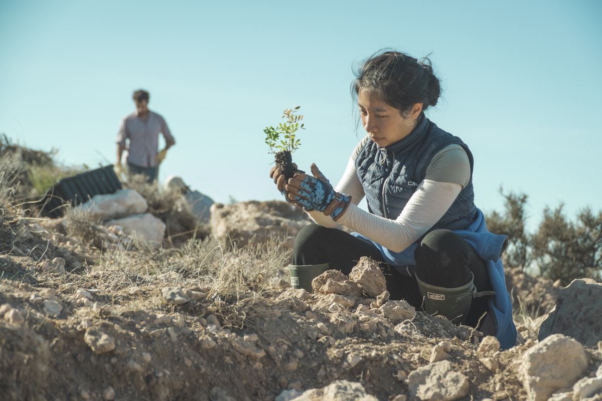 Let’s adopt 1,000 trees together! • Life Terra