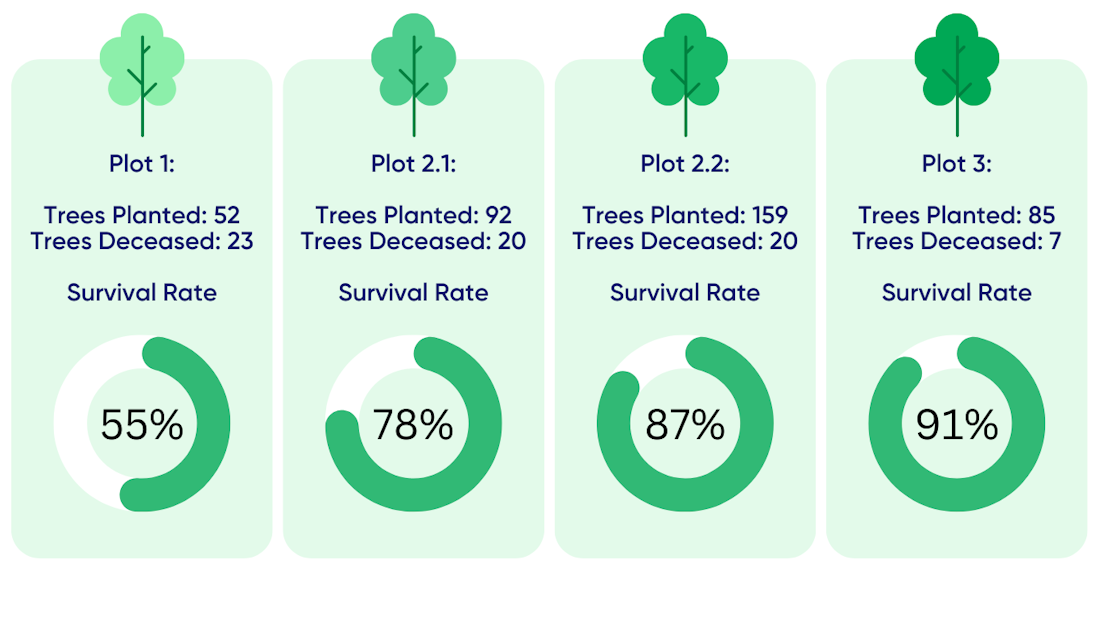 Tree Survival: How Life Terra trees are growing?
