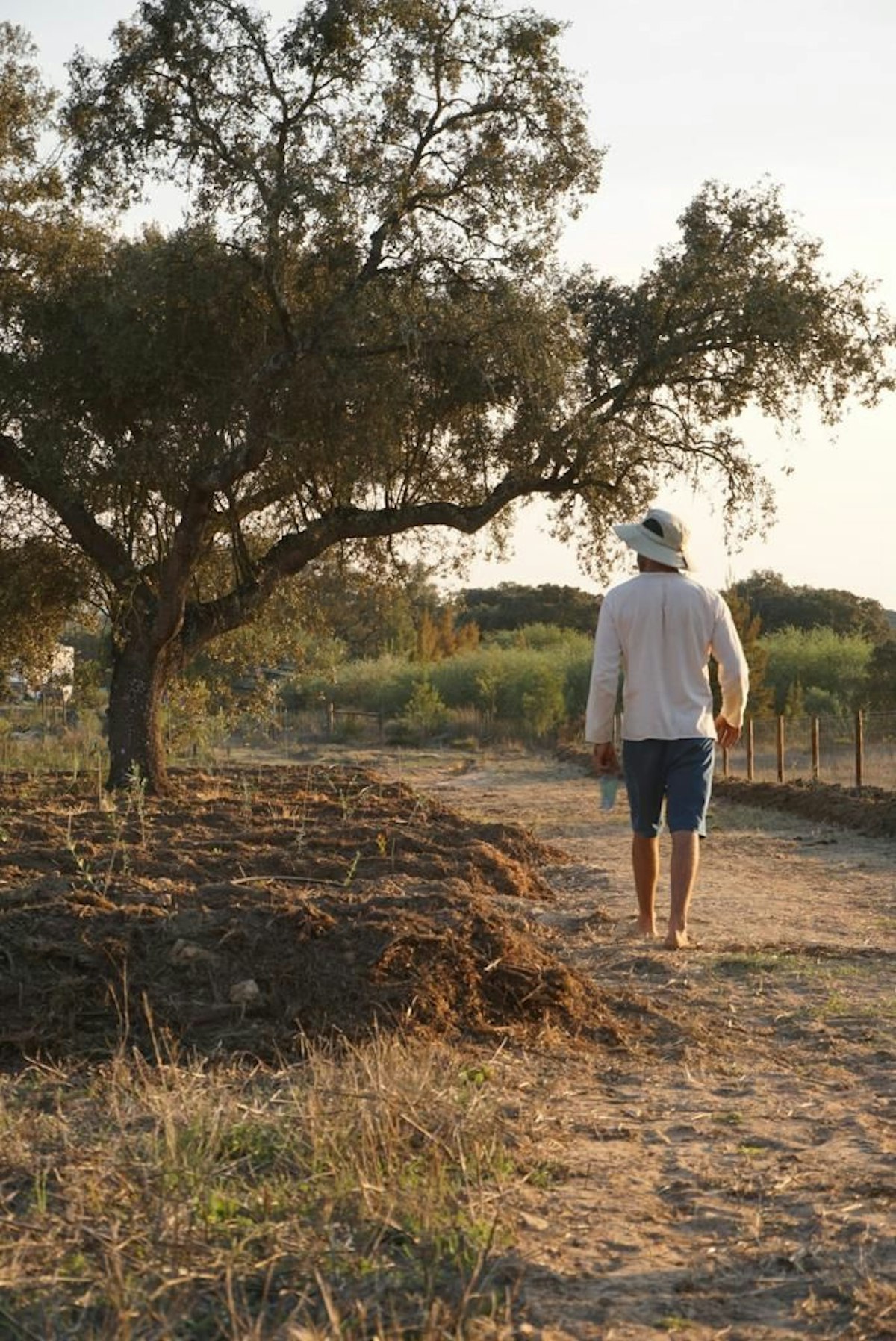 Supporting syntrophic agriculture in Portugal • Life Terra