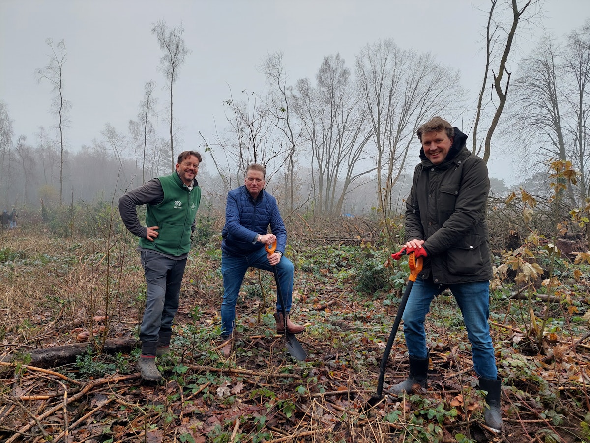 EY & Microsoft partner to plant 1000 trees in Tafelbergheide