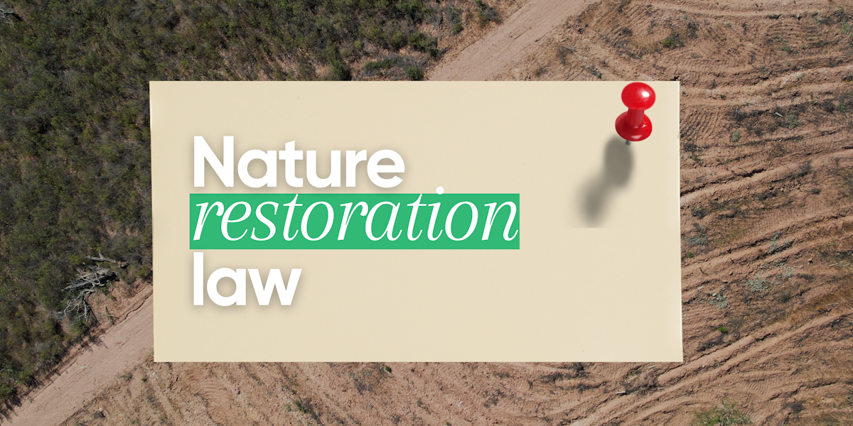 The Nature Restoration Law comes into force • Life Terra