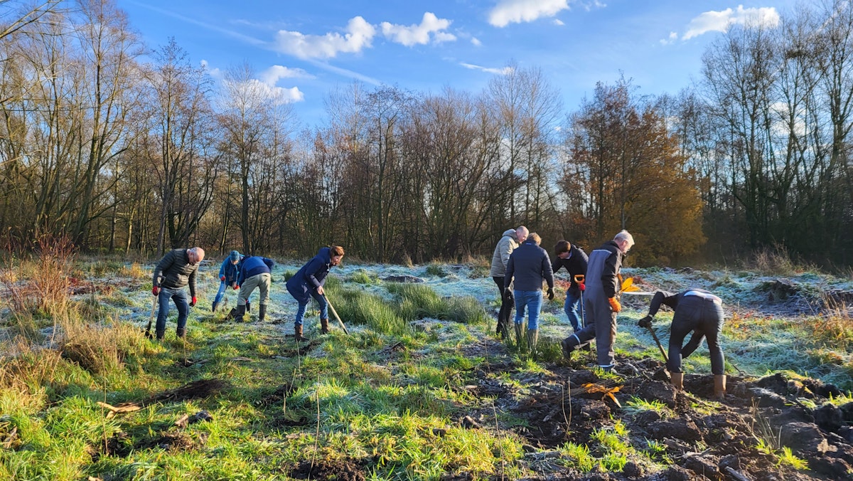 Tulpenrallye plants trees in Mariënwaerdt • Life Terra