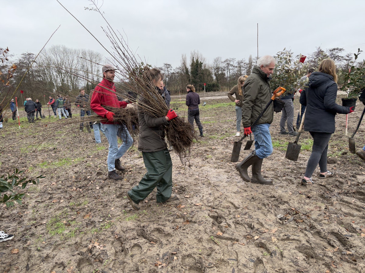 Successful 2nd tree planting day for Greenbookings