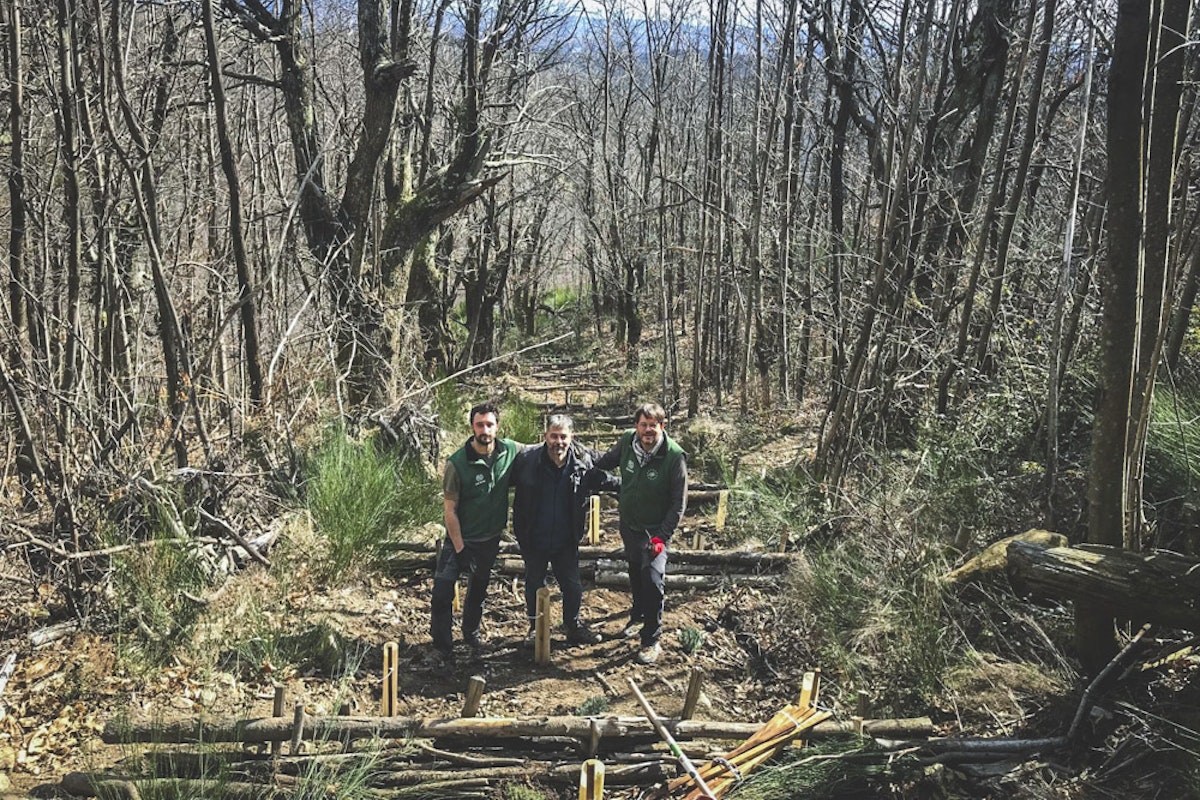 A Holistic Approach to Ecosystem Restoration • Life Terra