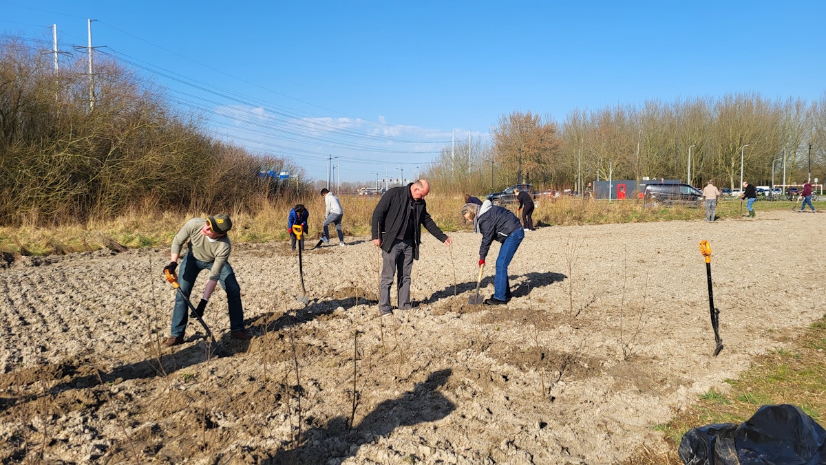 EY continues to plant trees in the Netherlands • Life Terra