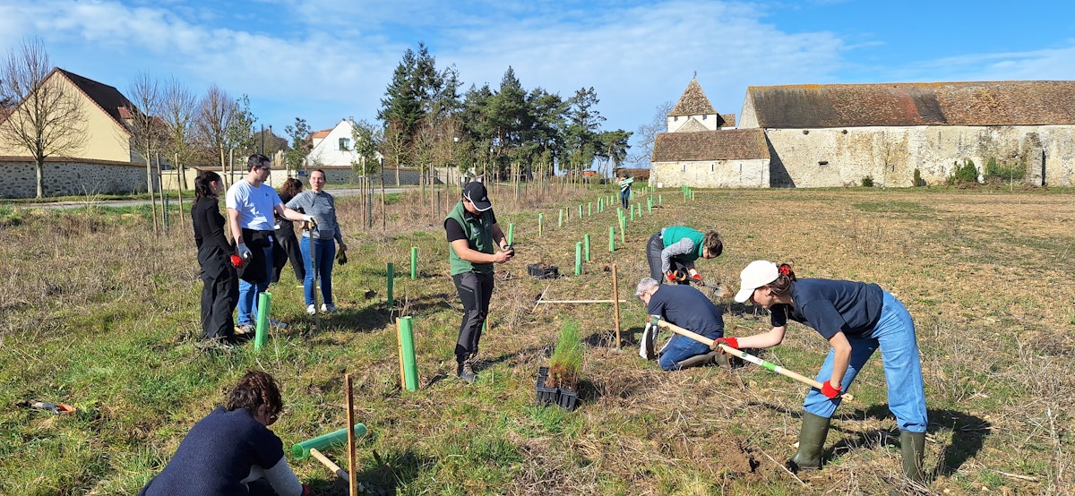 Life Terra planting trees again in the Paris region