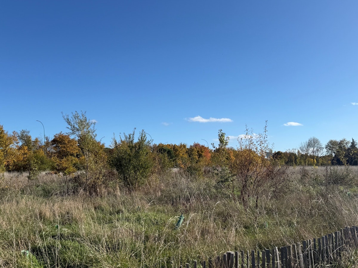 Toulouse Argoulets Planting Site Visit • Life Terra