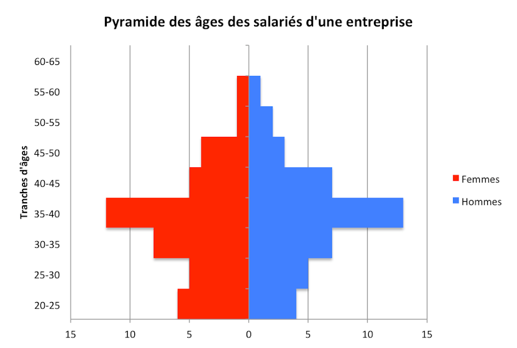 Pyramide des âges en entreprise : construction et interprétation