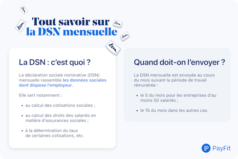 DSN : comment ça marche
