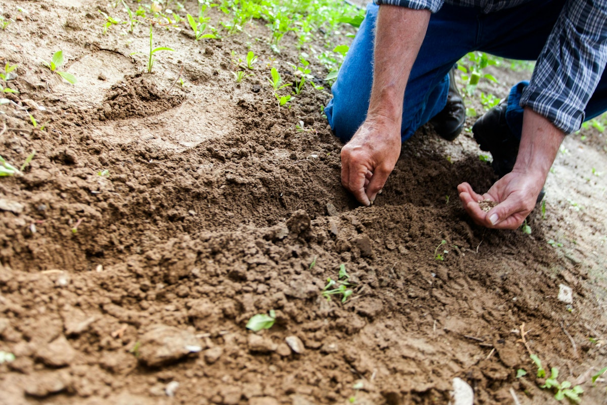A Guide To UK Gardening Leave For HR Professionals