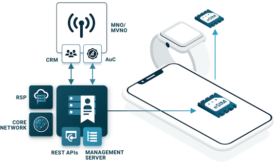 Your guide to Truphone Entitlements | Truphone | Truphone