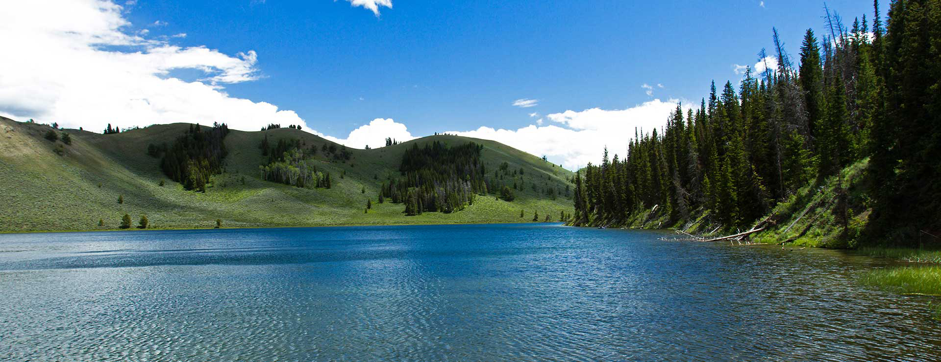 Bridger Teton National Forest - Jackson Hole Mountain Resort Bridger Teton National Forest - Jackson Hole Mountain Resort
