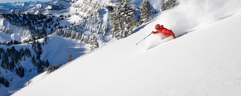 Season Passes - Jackson Hole Mountain Resort