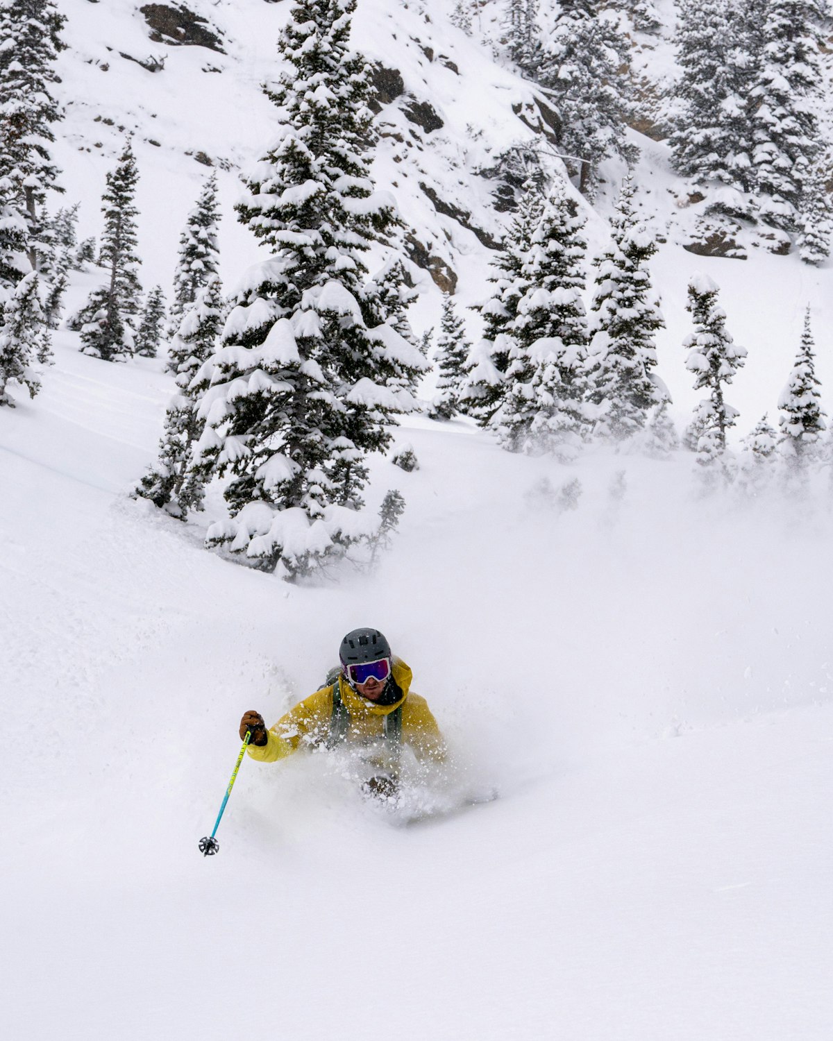 A Snowy Start to 2026 in Jackson Hole - Jackson Hole Mountain Resort