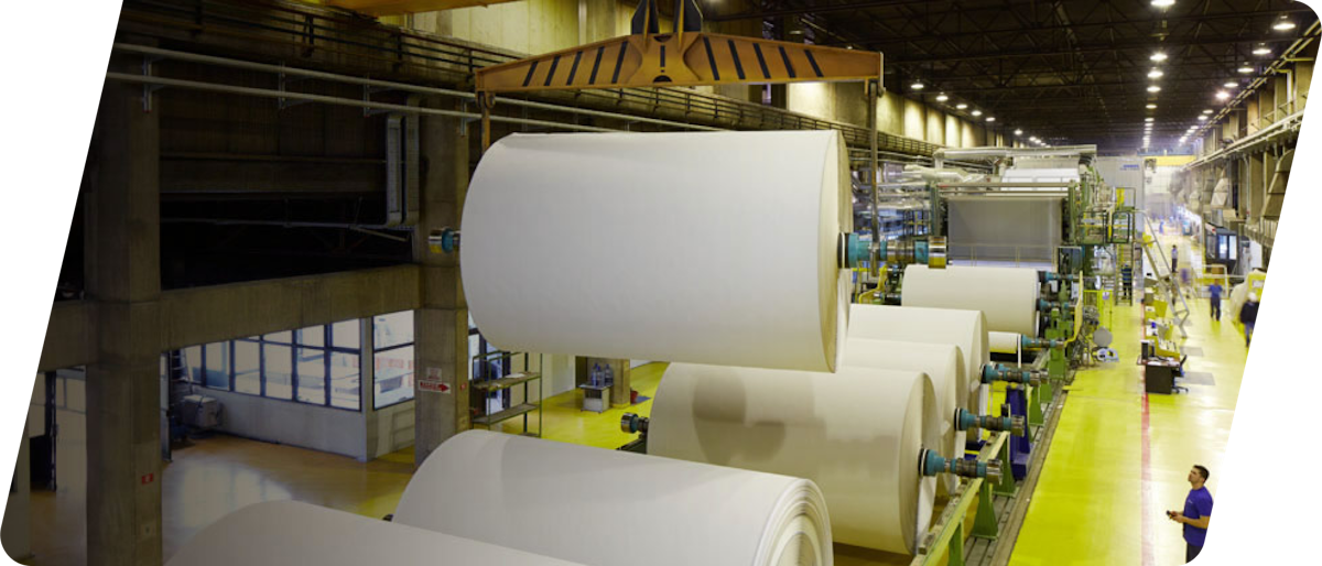 Packaging | Pak Group