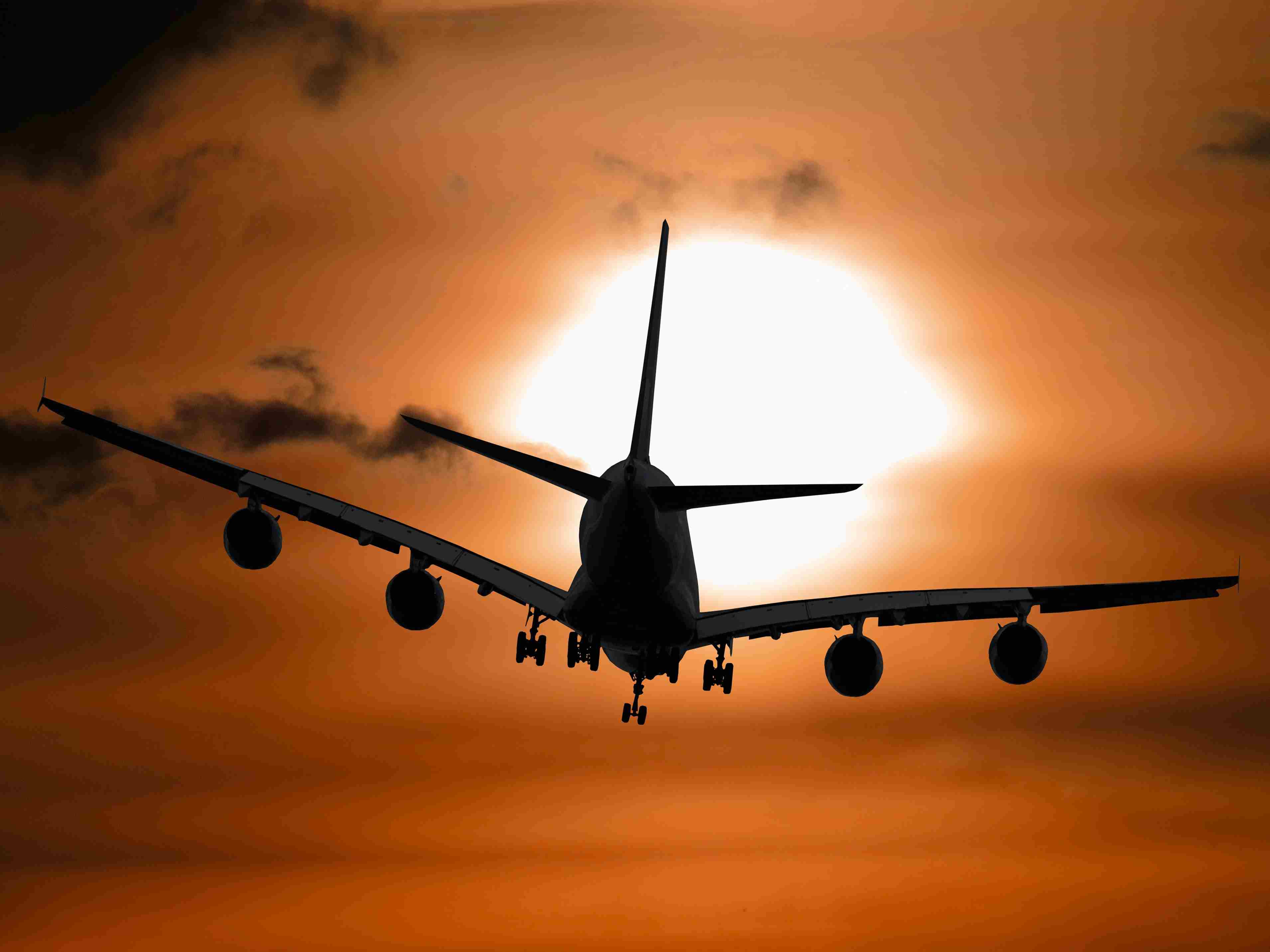 Transportation Guide: Wander Surfside Beach | Wander