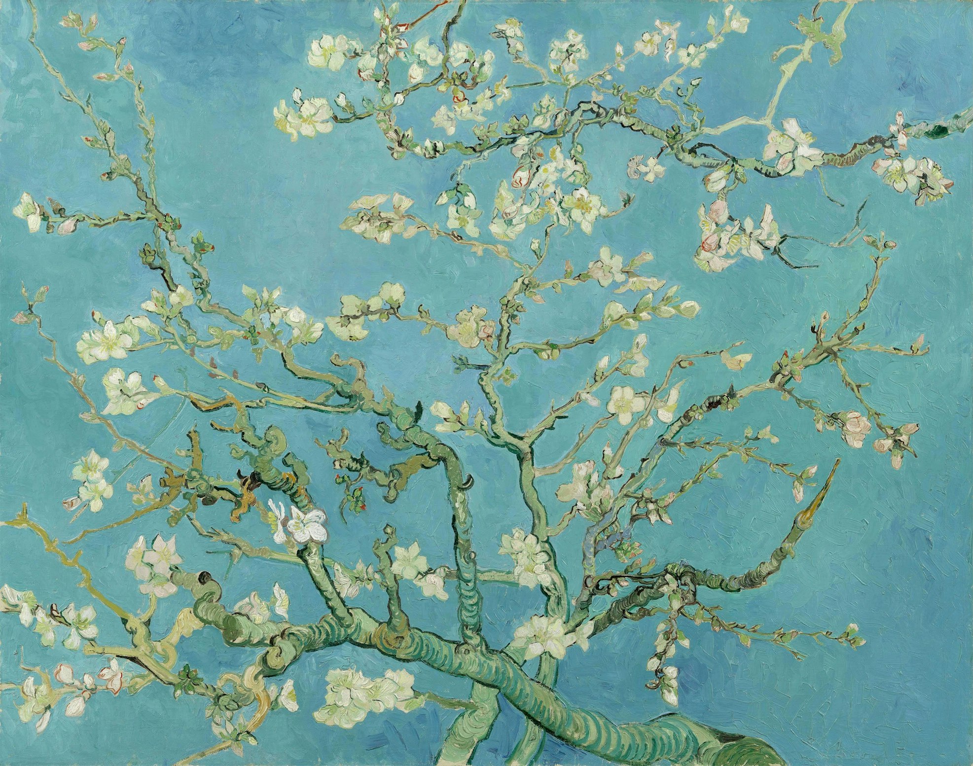 Large Van Gogh Almond Blossom Wallpaper Mural | Bobbi Beck